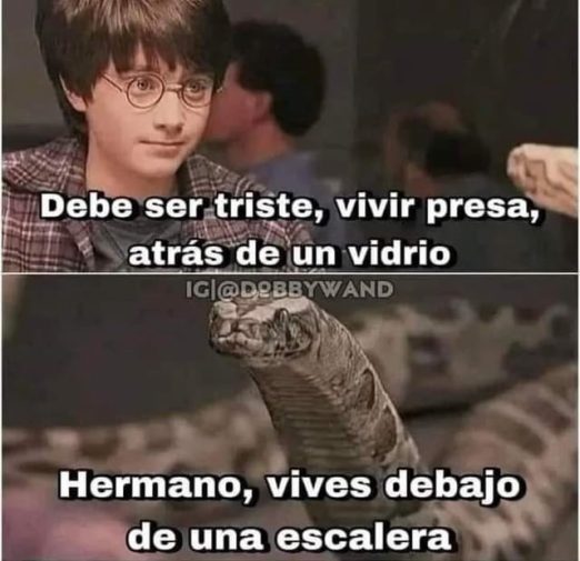 Los mejores memes de Harry Potter: Cuando la magia se convierte en ...